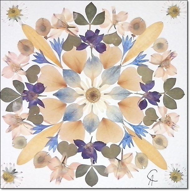 Mandala_Angelica – Flori presate din Grădina sălbatică